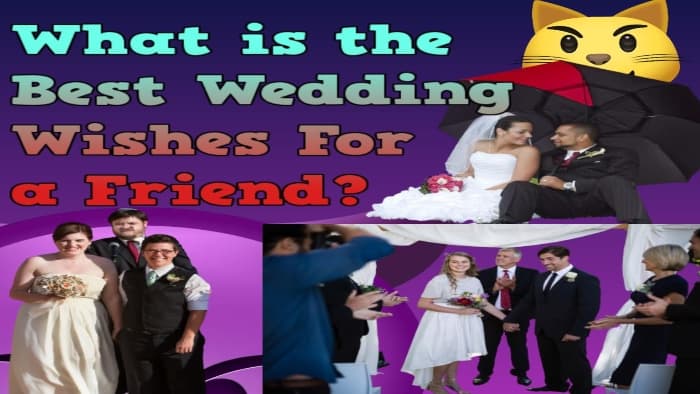 What To Say On Wedding Wishes For Friend On Her Compelled Marriage What To Say On Wedding Wishes For Friend On Her Compelled Marriage